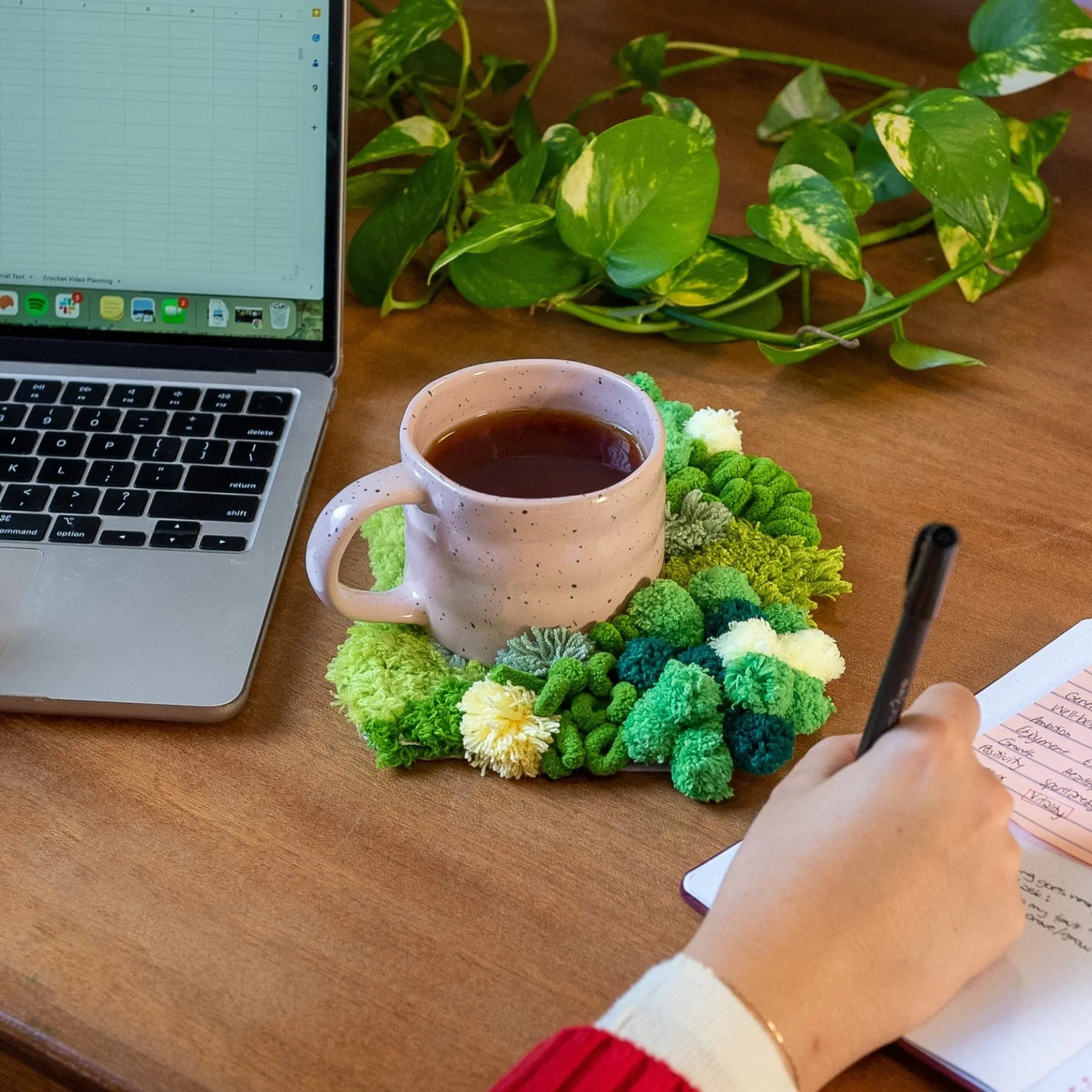 GREEN OASIS Moss Coaster Kit