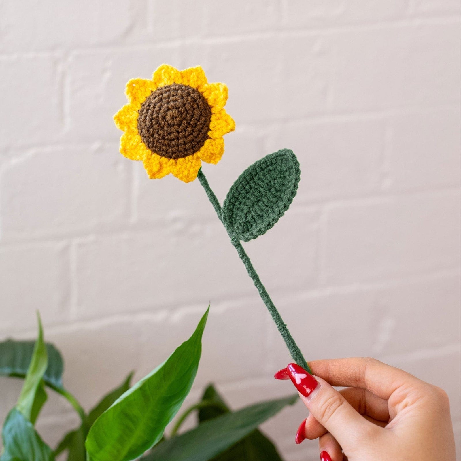 Crochet Kits | Buy Crochet Kits Online