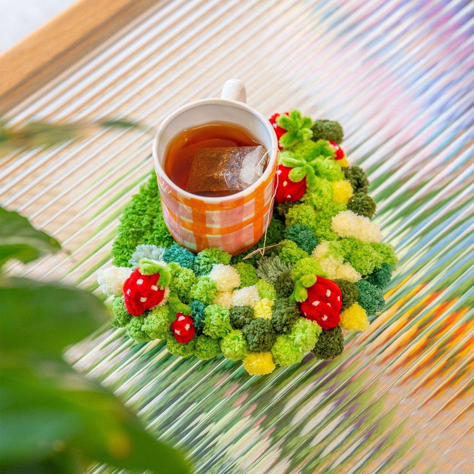 Moss DIY Kits | Shop Craft Moss Kits