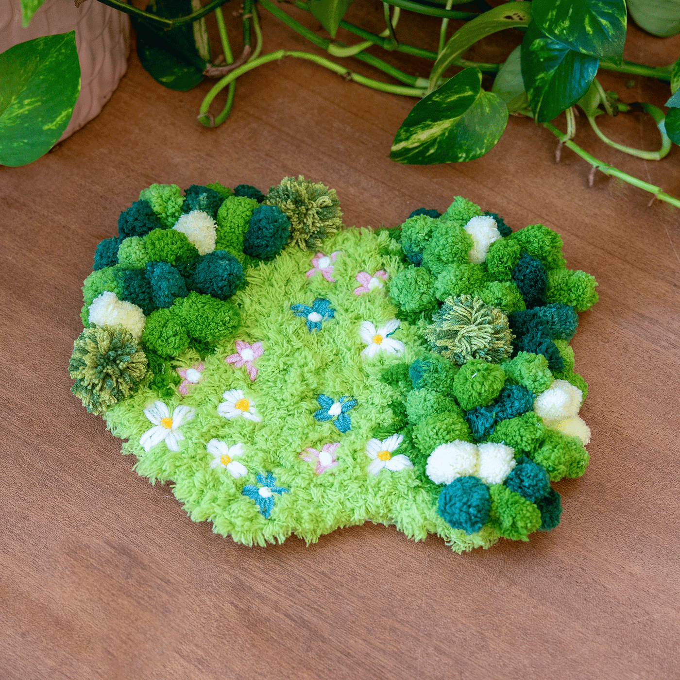 Moss Coaster Kits | Shop Craft Moss Kits