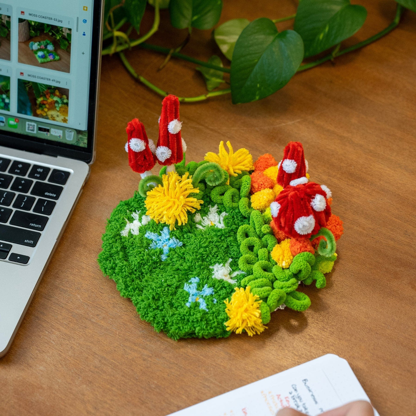 Moss DIY Kits | Shop Craft Moss Kits