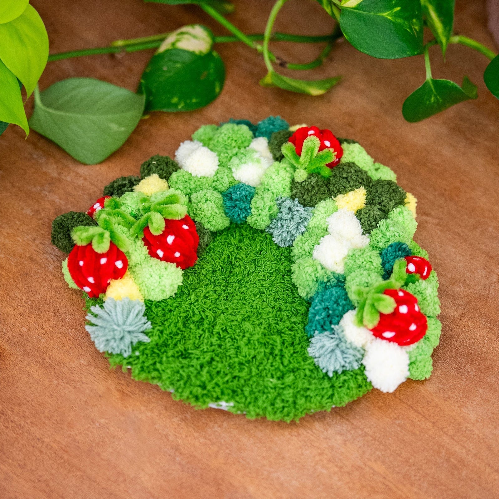 Moss DIY Kits | Shop Craft Moss Kits