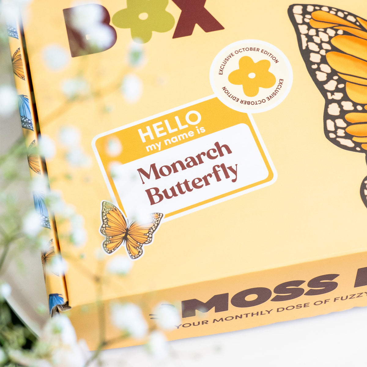 Moss DIY Kits | Shop Craft Moss Kits
